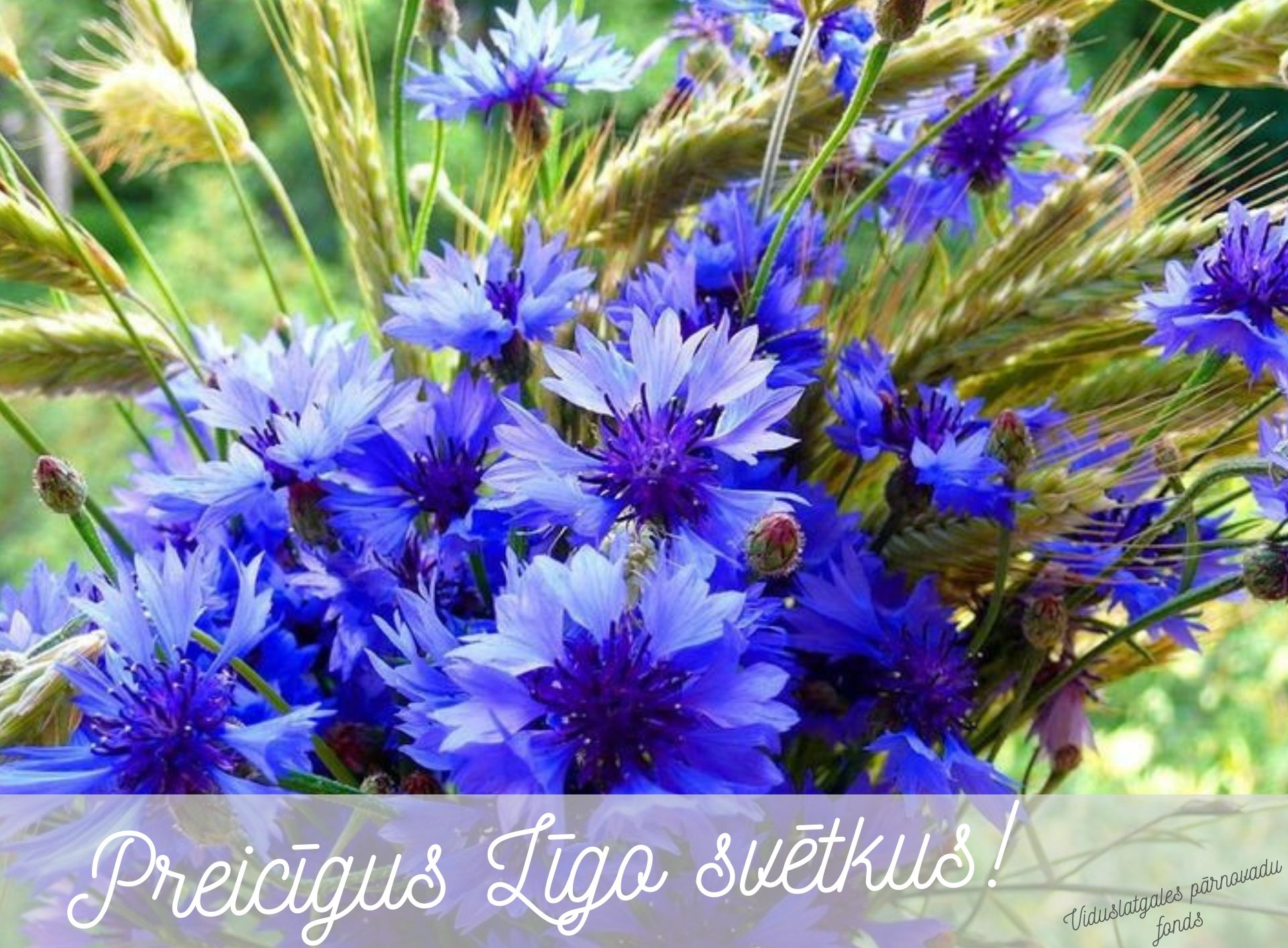 Priecīgus Līgo svētkus! | Viduslatgales pārnovadu fonds